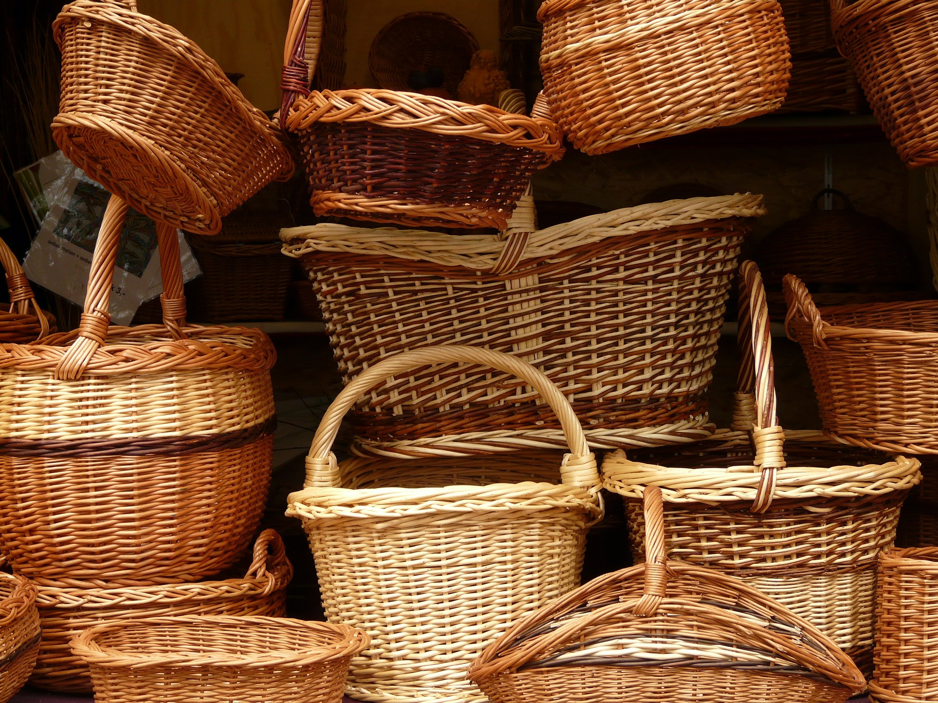 📅Atelier découverte de la vannerie - Les Roseaux